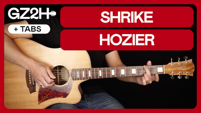 GuitarZero2Hero: Learn How To Play The Guitar